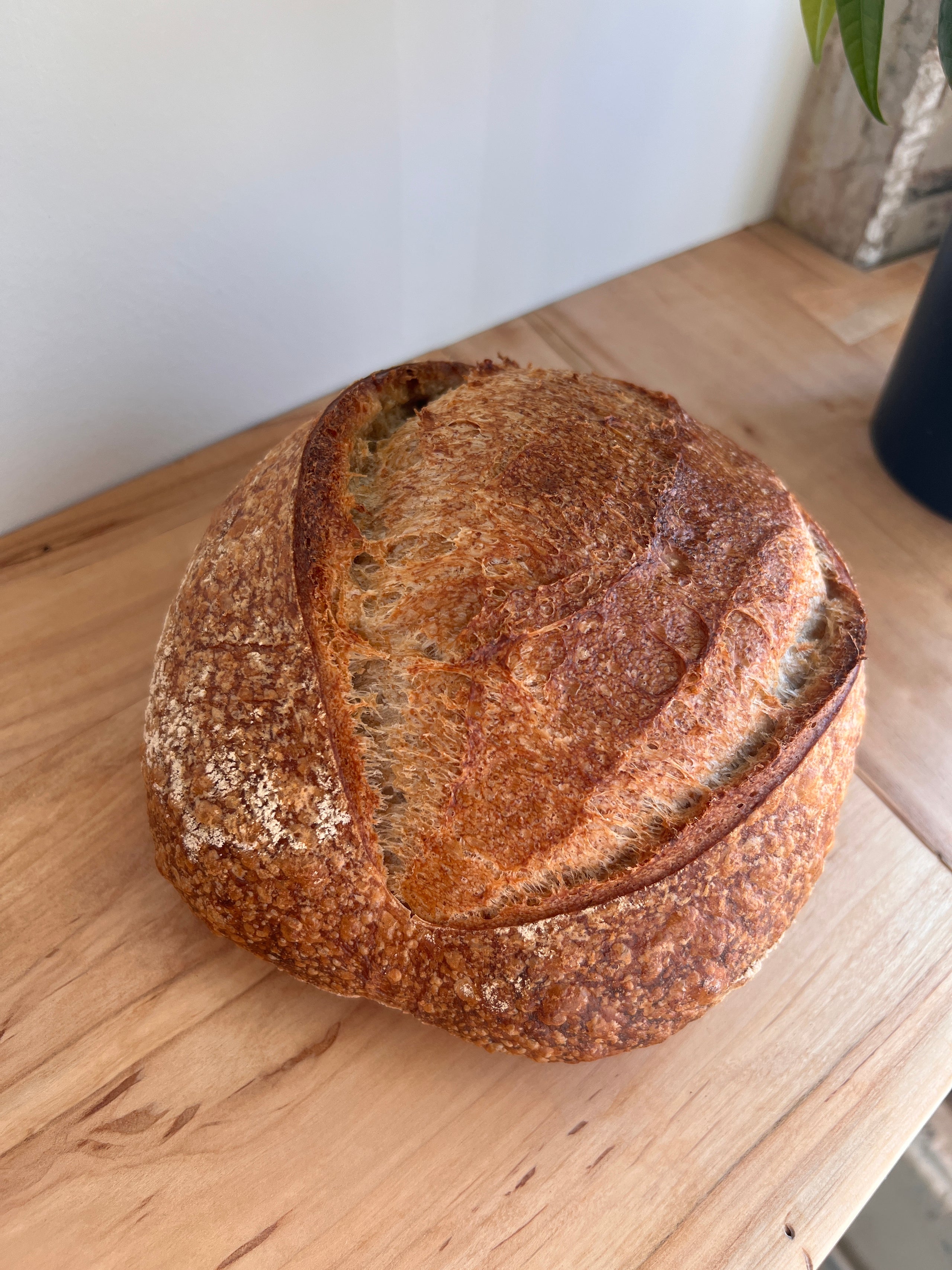 Country Loaf | Rise Bakery - Artisan Bread and Pastries